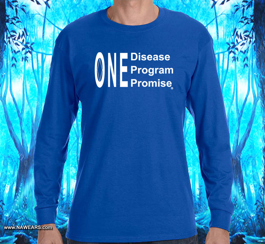NA SHIRTS, Narcotics Anonymous Shirt, ONE DISEASE ONE PROGRAM Shirt ...