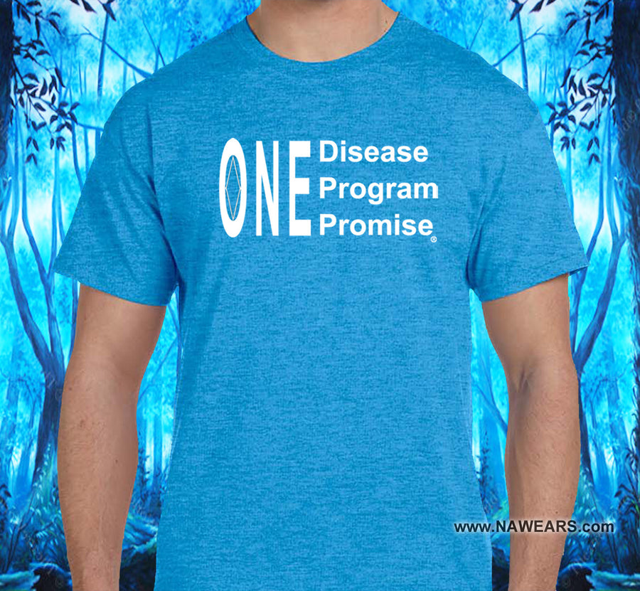 NA SHIRTS, Narcotics Anonymous Shirt, ONE DISEASE ONE PROGRAM Shirt ...