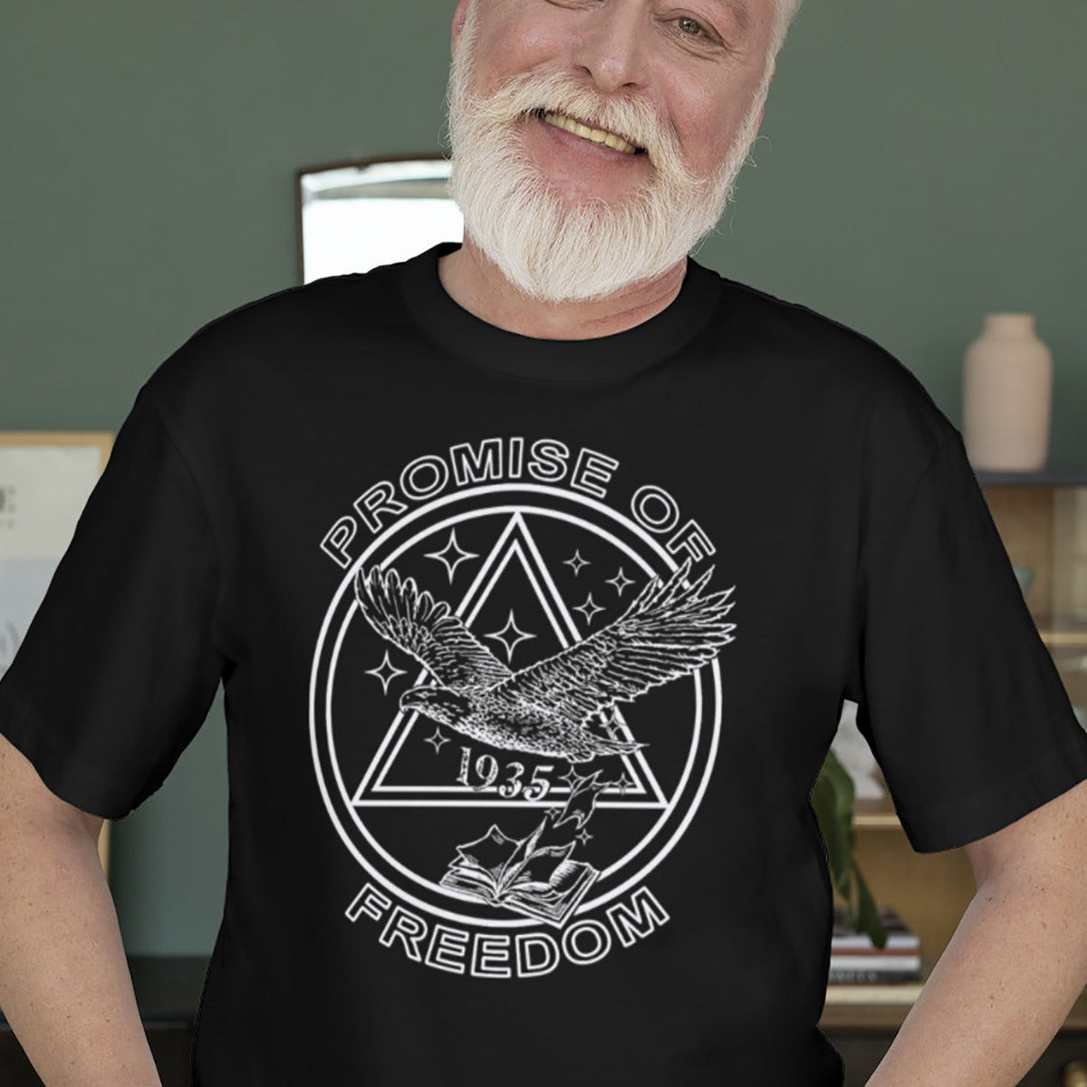 AA Shirts, Alcoholics Anonymous Tee, AA PROMISE OF FREEDOM T-shirt ...